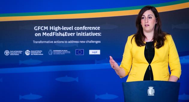 General Fisheries Commission for the Mediterranean - GFCM | Food and ...