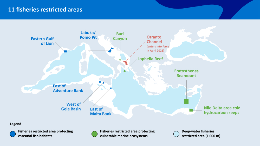 Spatial and spatio-temporal measures | General Fisheries Commission for ...